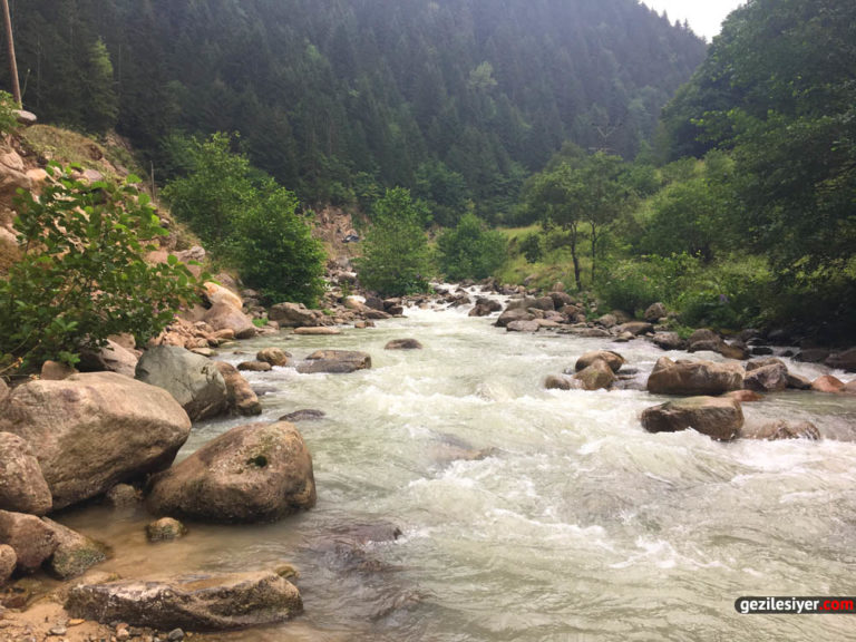Ovit Yaylası Rehberi | Nerede, Rakımı ve Detaylı Bilgiler