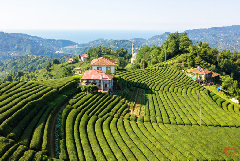Rize'de Gezilecek Yerler | En İyi 20 Gezi Noktası! (Detaylı)